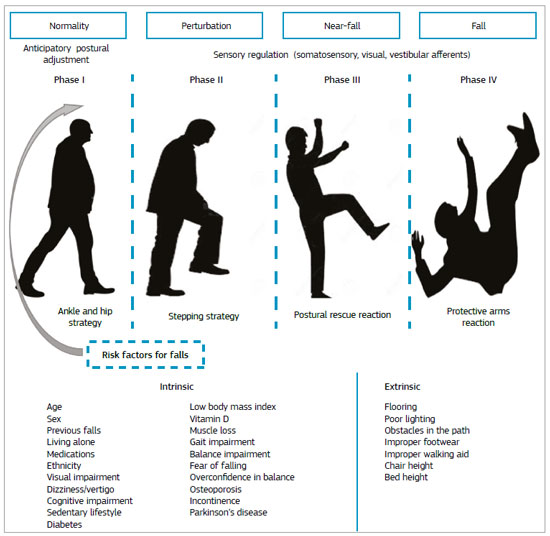 Geriatrics, Gerontology and Aging
