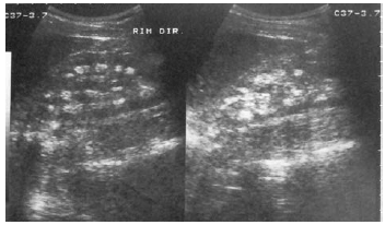 Revista Brasília Médica