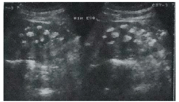 Revista Brasília Médica