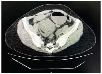 Revista Brasília Médica